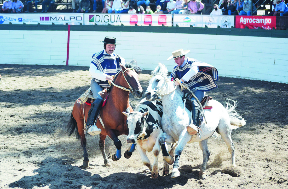 Gran fiesta del Rodeo se vive en Medialuna de San Clemente - MauleHoy