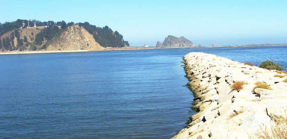 Diputado Jorge Guzmán Pide tomar acciones ante el cierre de la ...